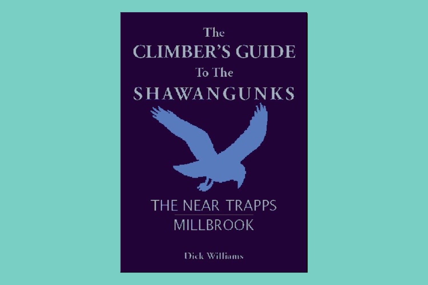 The Gunks Climbing Guide for a Great First Trip (2022)