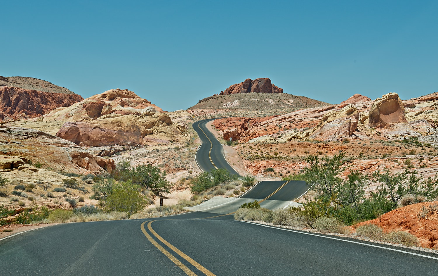 Red Rock Climbing: Definitive Guide with Areas and Routes (2025)