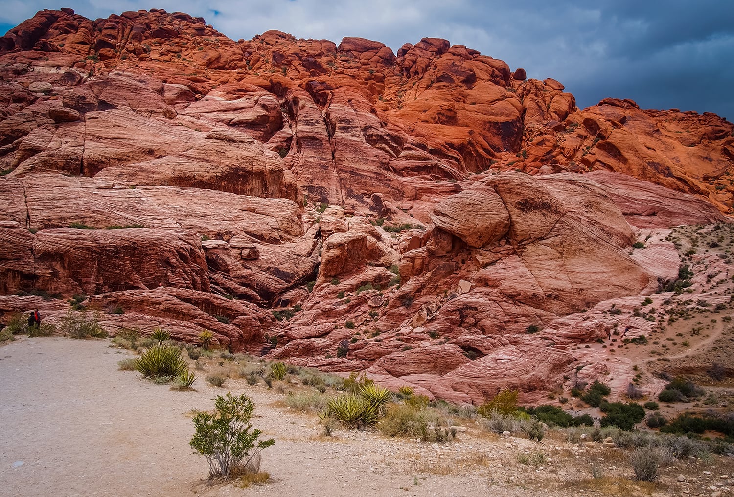 Red Rock Climbing: Definitive Guide with Areas and Routes (2025)