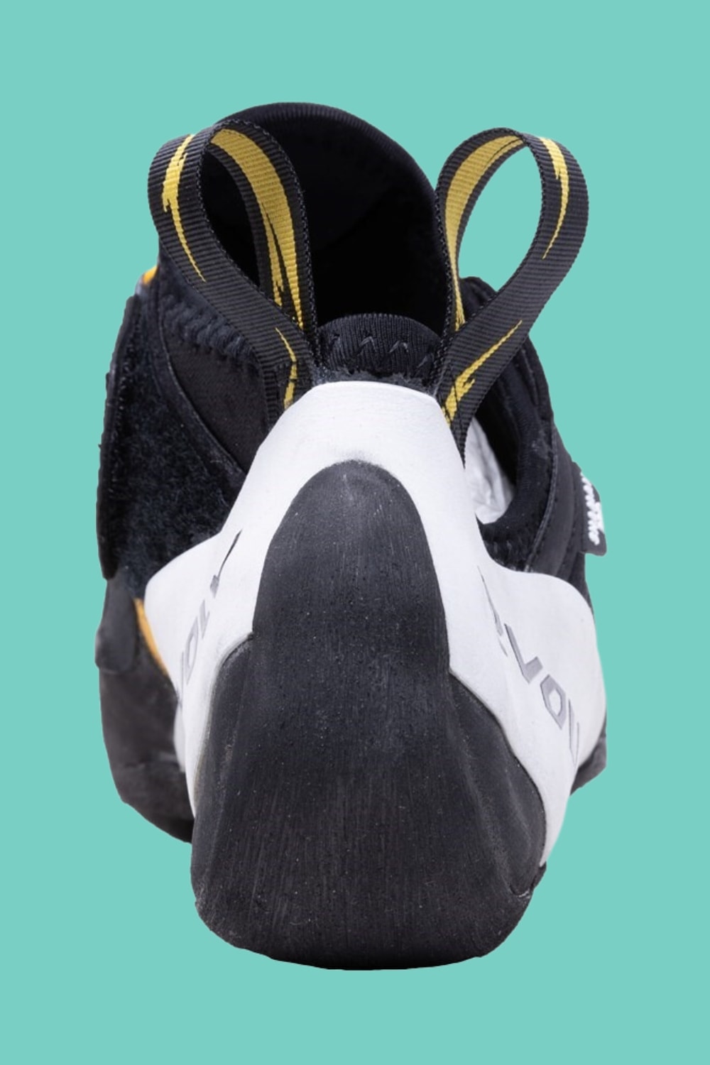 Evolv Shaman Pro Review (2025): Better than the Original?