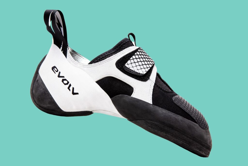 Evolv Zenist Review (2025): Top Value for Performance?