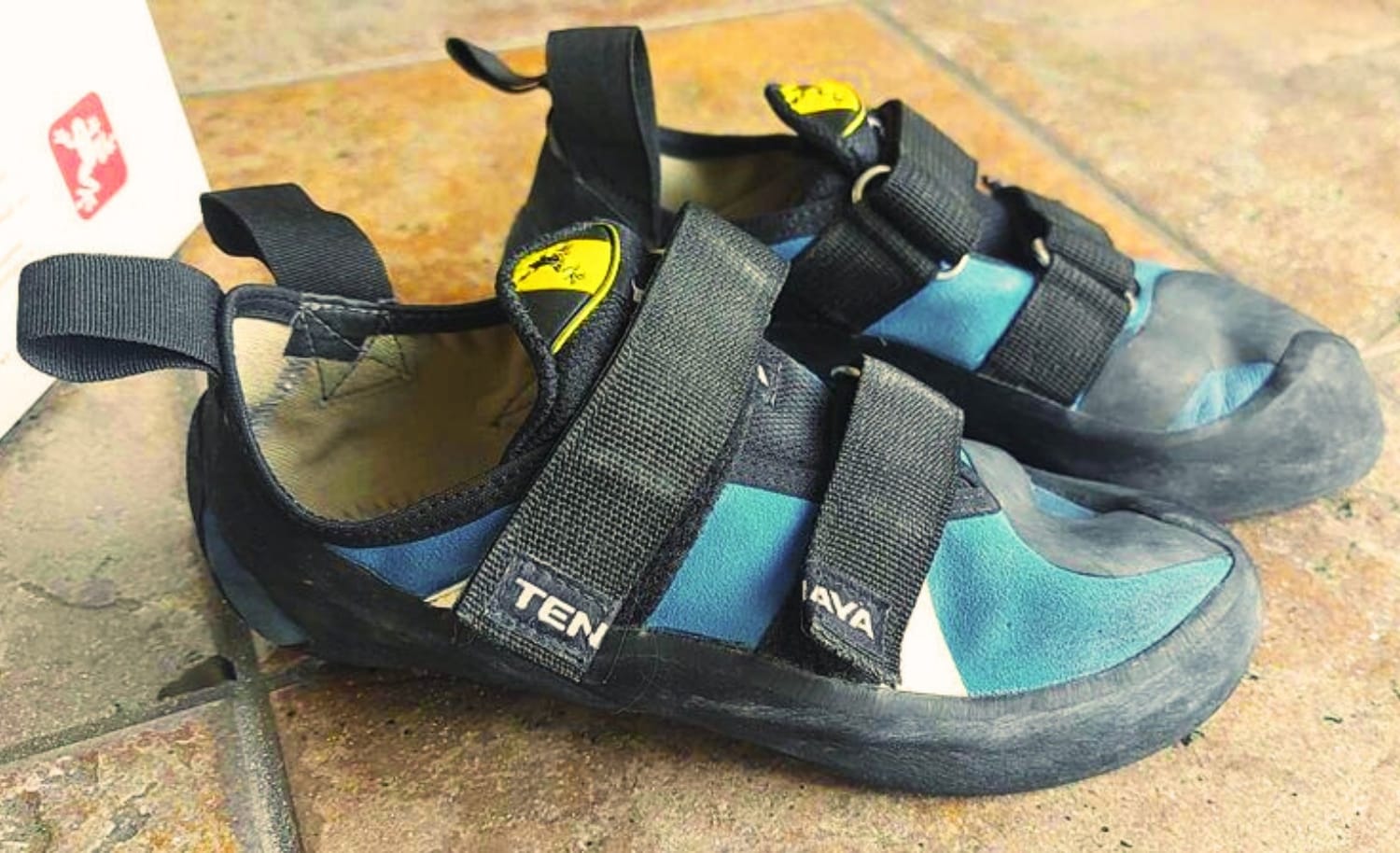 Tenaya Tanta Review (2025) : Great Comfort Pick?